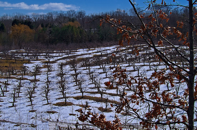 Geography word of the week: kame | Canadian Geographic