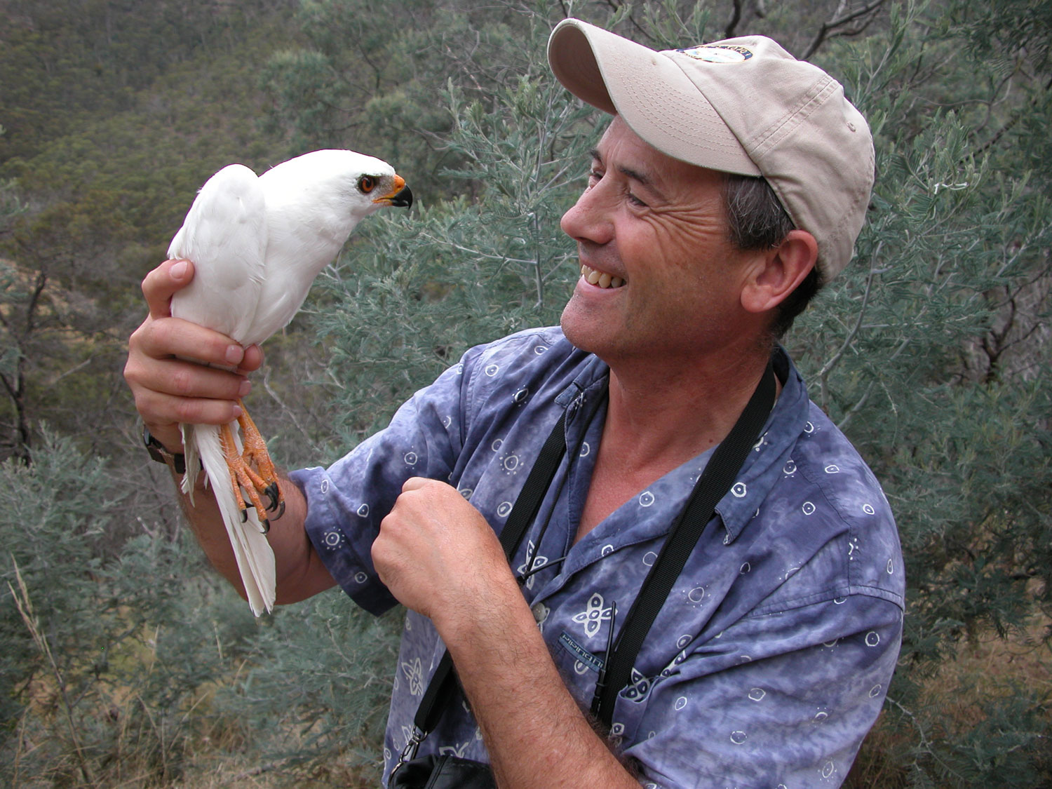 David Bird talks Pocket Birds of Canada handbook | Canadian Geographic