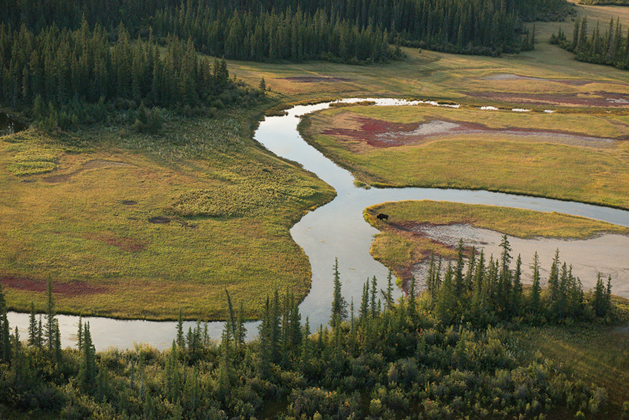 Aerial photos of Wood Buffalo National Park | Canadian Geographic