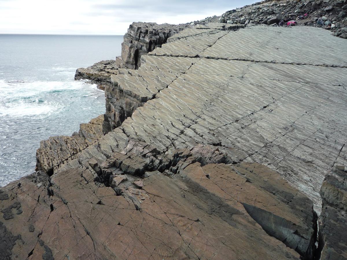 Newfoundland's Mistaken Point named UNESCO World Heritage Site ...