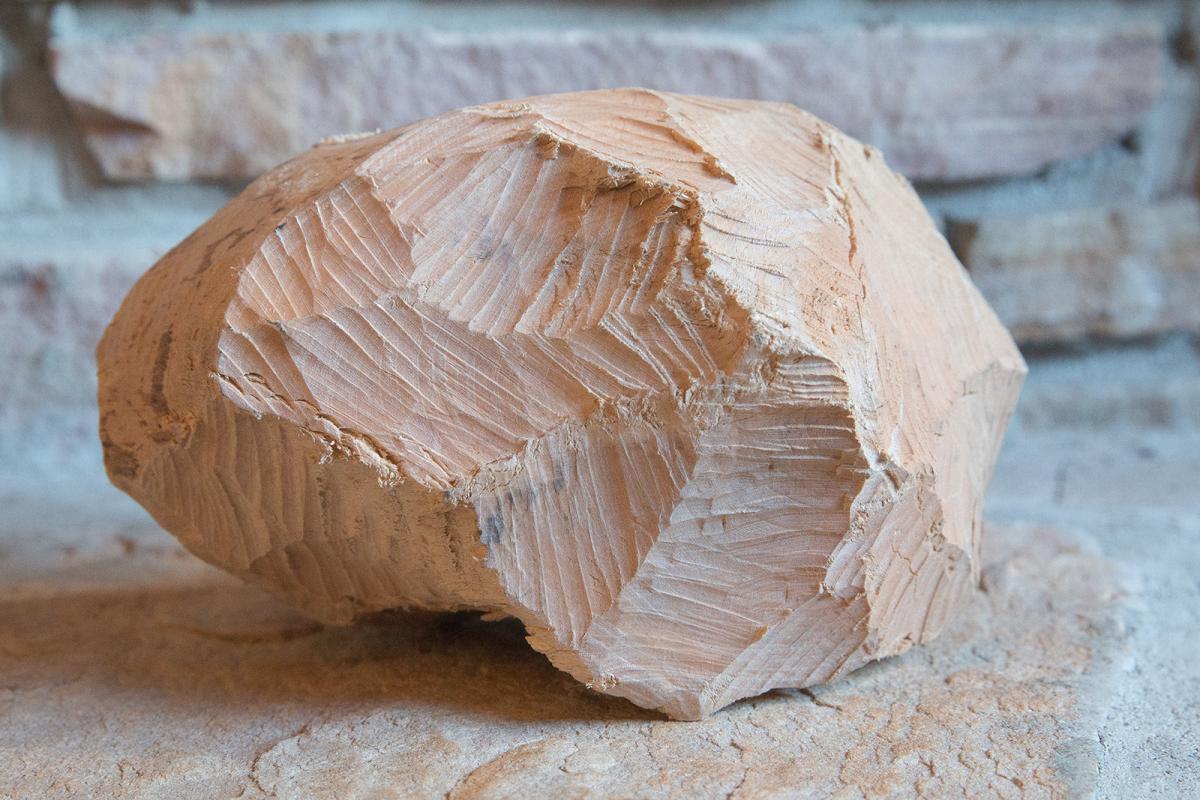 The strange, compelling artistry of “beaver sculptures” | Canadian ...